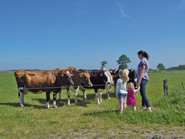 Moormerland Tourismus // Moormerland Tourismus